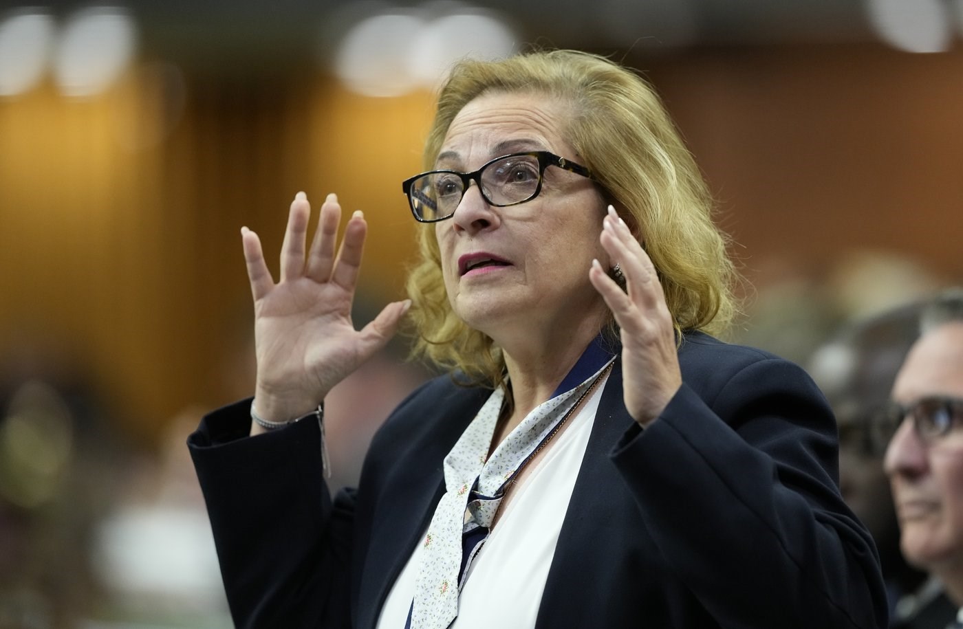 Diab says new border bill powers would have been useful during COVID-19 ...