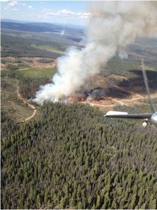 Bose Lake fire fully contained | iNFOnews | Thompson-Okanagan's News Source